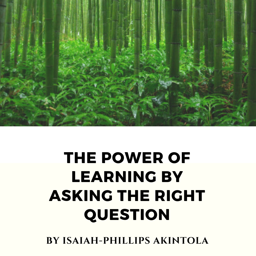 THE POWER OF LEARNING BY ASKING THE RIGHT QUESTION – PortalsGate